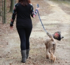 SAGE - Family Affair's Words of Wisdom - Adopted - Family Affair Standards