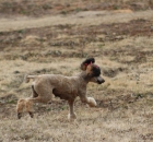 SAGE - Family Affair's Words of Wisdom - Adopted - Family Affair Standards